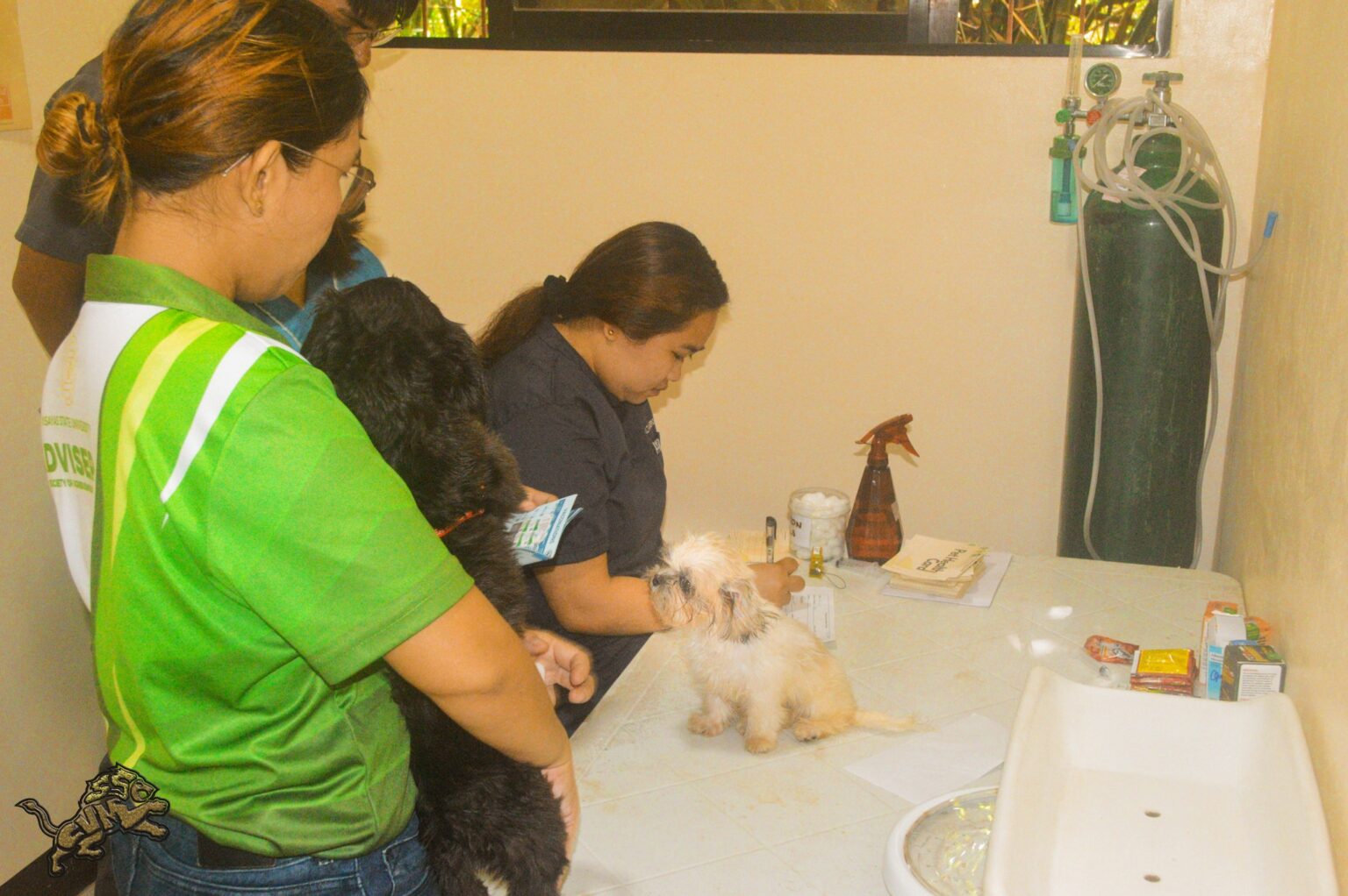 CVM Teaching Hospital | College of Veterinary Medicine | Visayas State ...