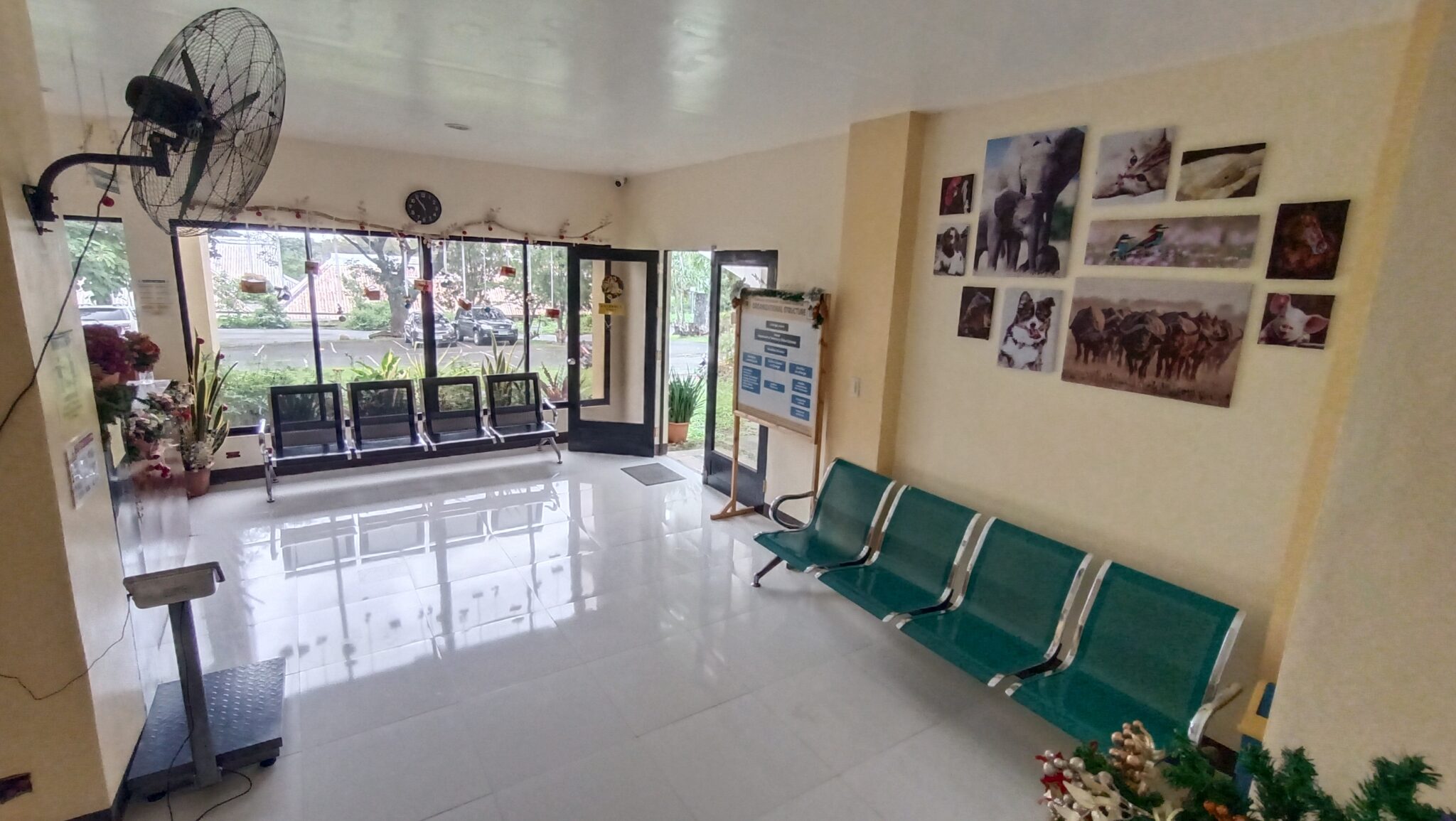 CVM Teaching Hospital | College of Veterinary Medicine | Visayas State ...