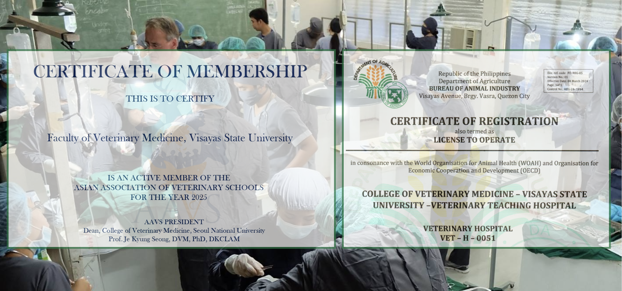 FVM Achieves Dual Milestones: Membership Renewed with AAVS and Granted ...